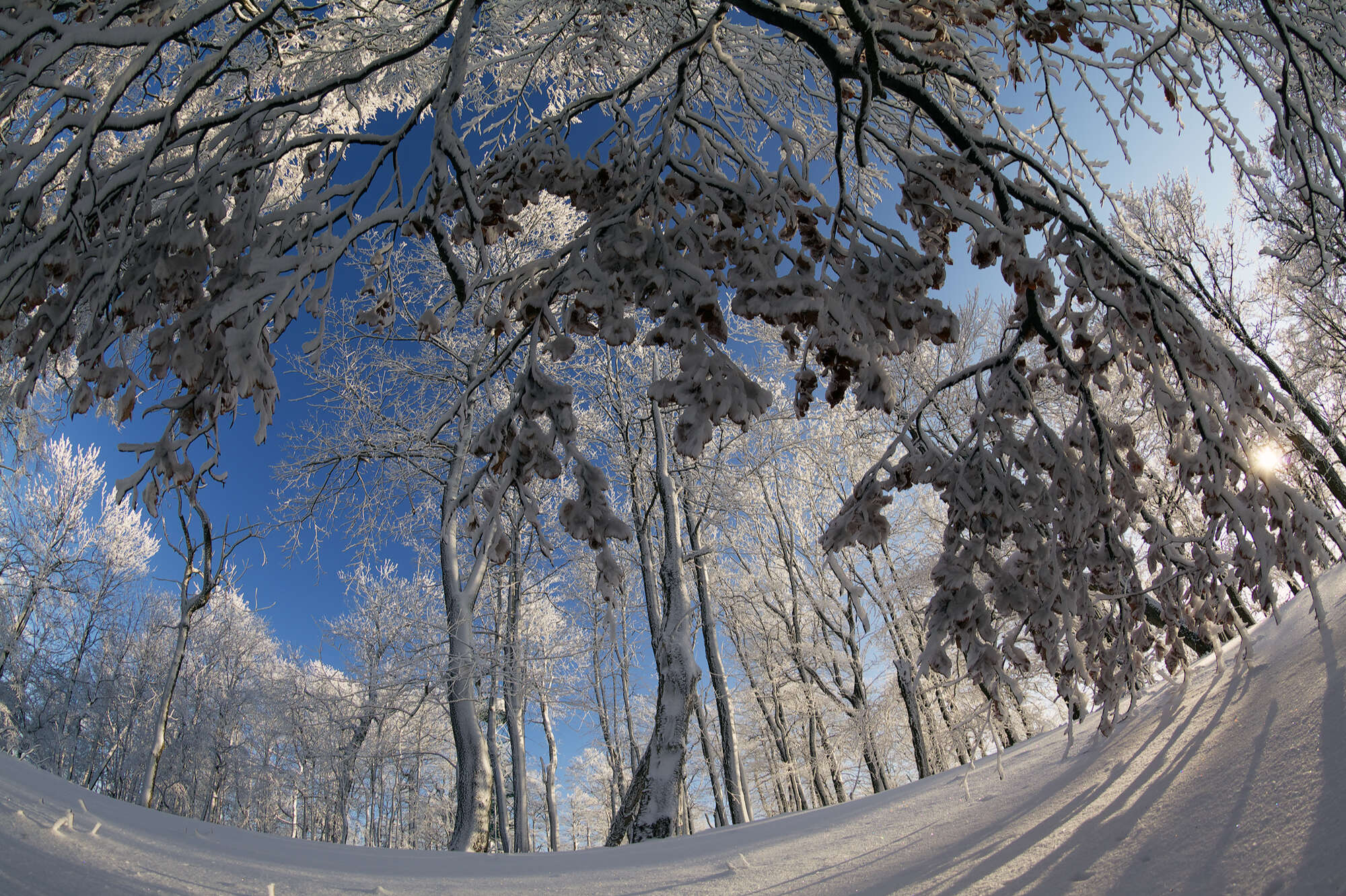 Elevate Your Landscape Photography with a Fisheye Lens | Bohemian Journeys