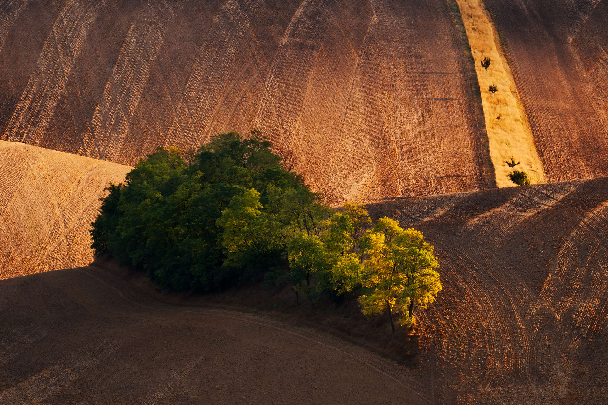South Moravia Photo Tours | Bohemian Journeys